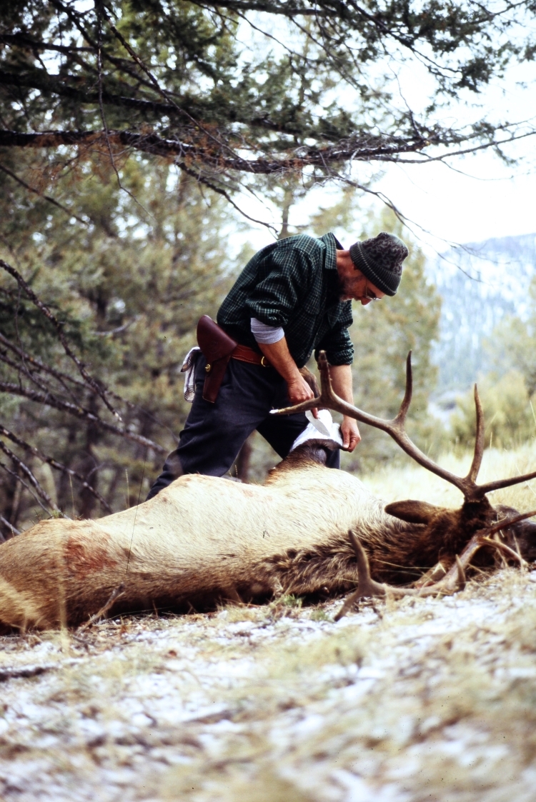 Idaho Elk, Mule Deer and Black Bear Blog | Castle Creek Outfitter